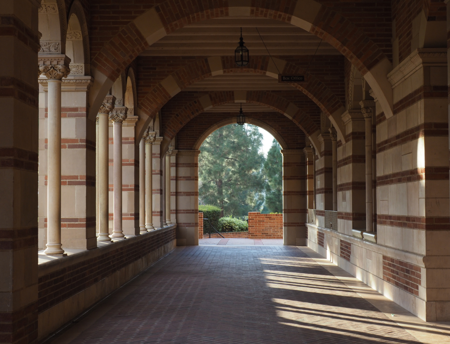 8-Week Research & Innovation Program | Work with Professor